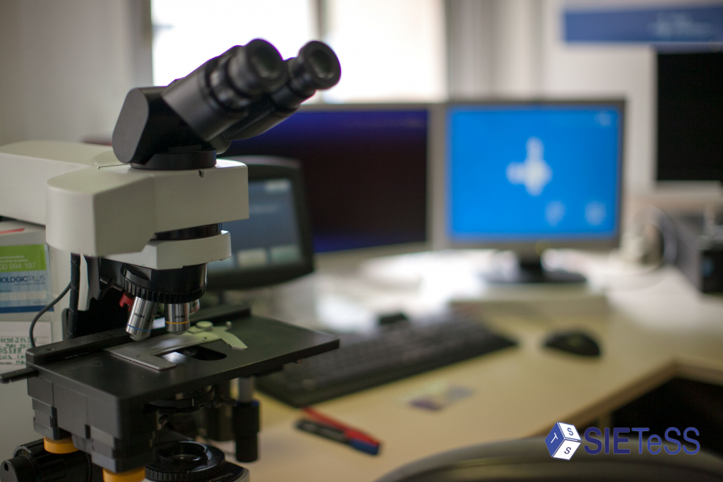 micro final - SIETeSS, Sindicato Estatal de Técnicos Superiores Sanitarios